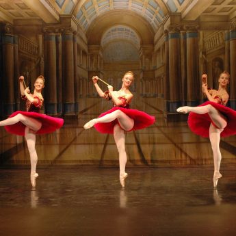 The Alban Arena | St Albans | Everyone Theatres